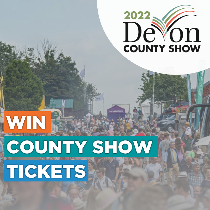 Radio Exe on Instagram - Radio Exe