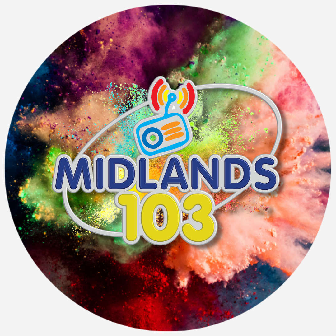 Midlands TD Calls For Coillte Board To Be Removed - Midlands 103