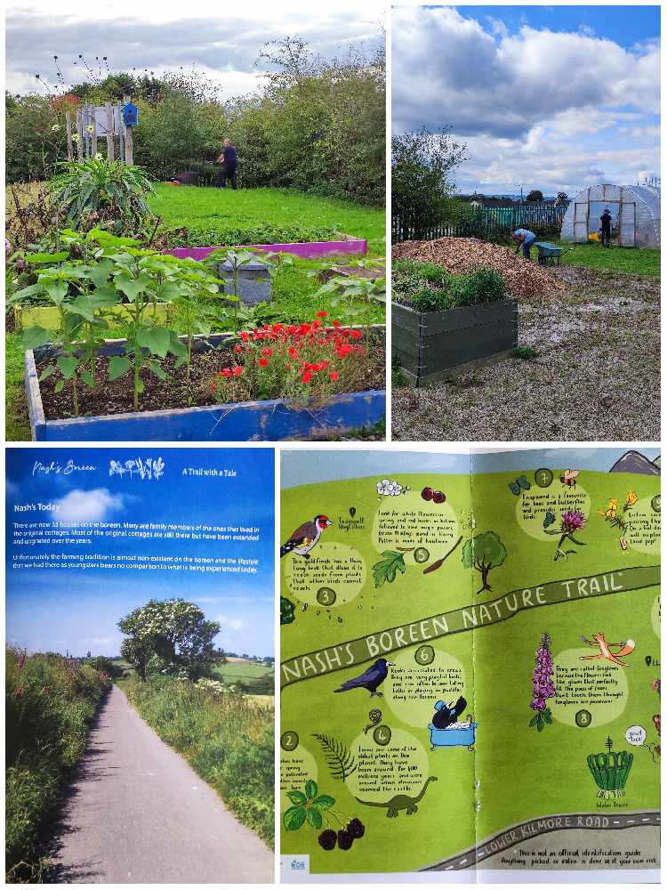 Nash's Boreen Booklet launch and Kids Nature Trail Map - Cork's 96FM