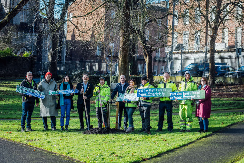 Limerick City and County Council launch new website to record newly ...