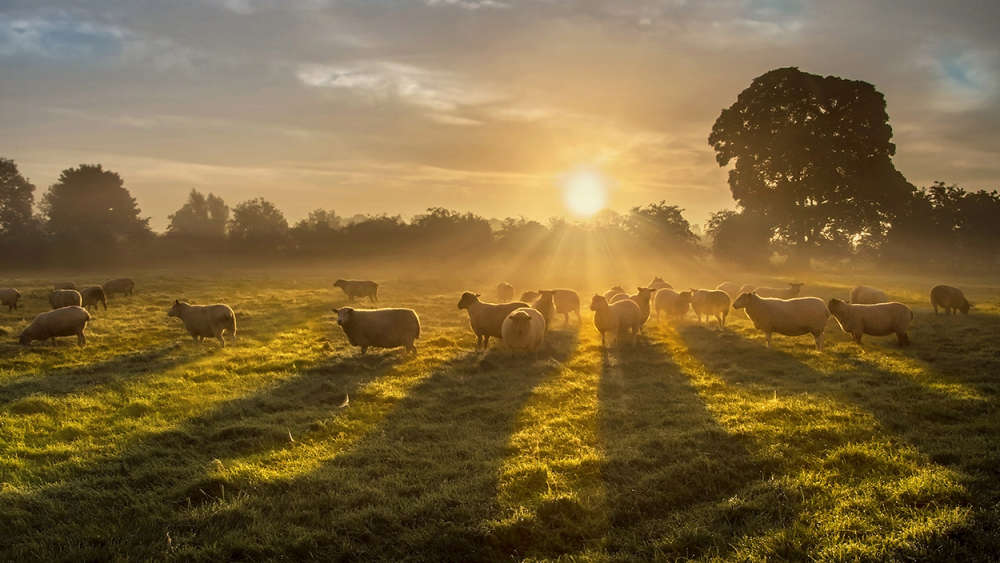 Clocks go forward earlier in 2026 as after-work sunsets return - C103