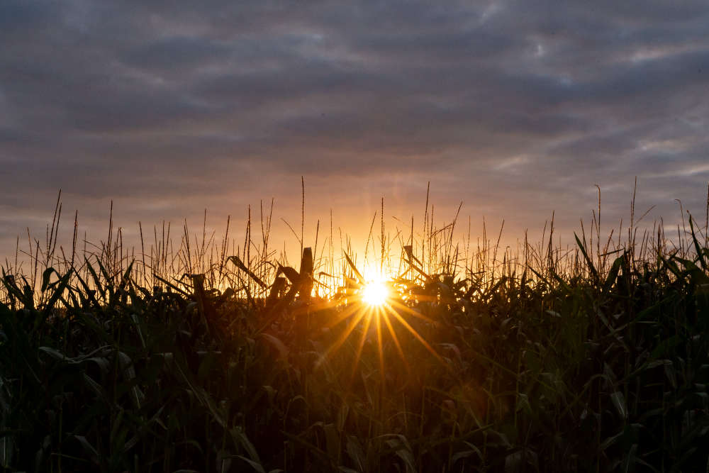Clocks go forward earlier in 2026 as after-work sunsets return - C103