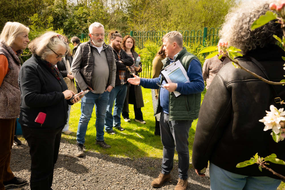 Limerick City and County Council mark Earth Day with butterfly ...