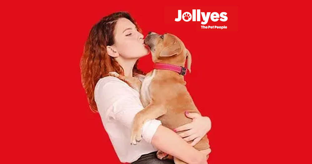 Jollyes - B Radio