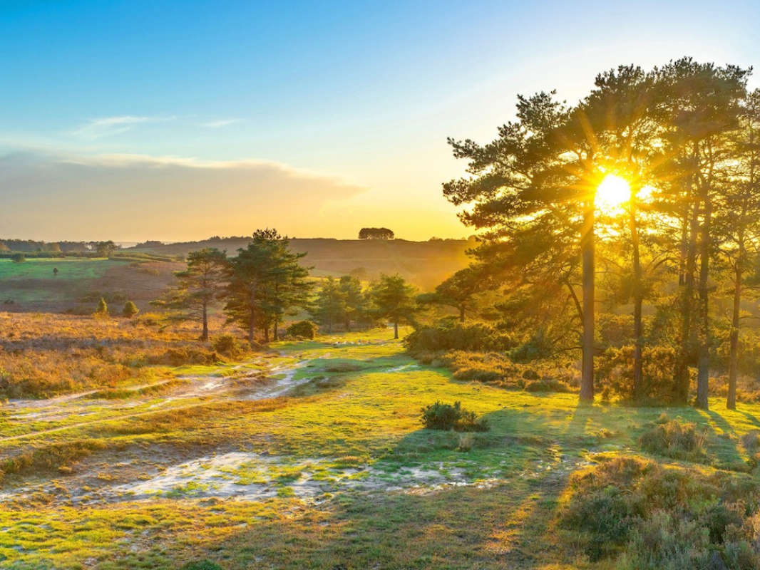 Ashdown Forest Parking Charges To Commence Next Week With Concessions