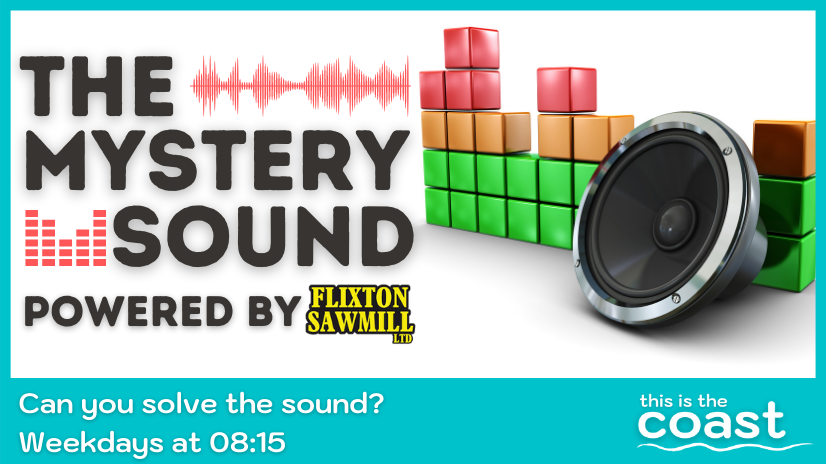 The Mystery Sound - This is the Coast