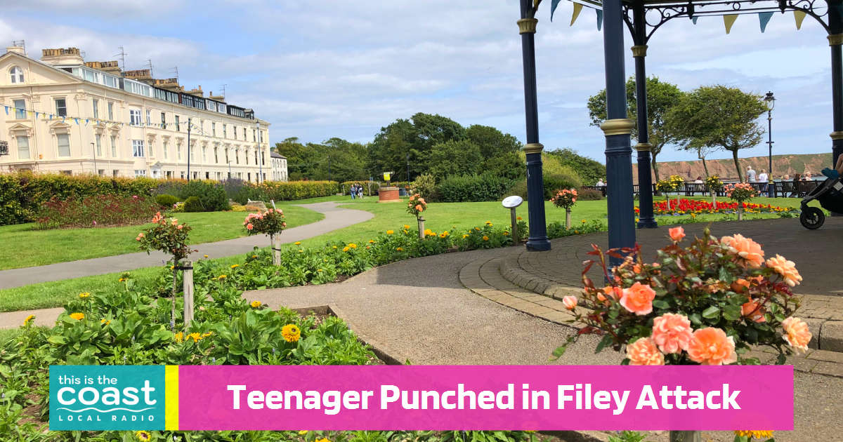 14 Year Old Needs Dental Surgery After Being Punched in Filey - This is ...