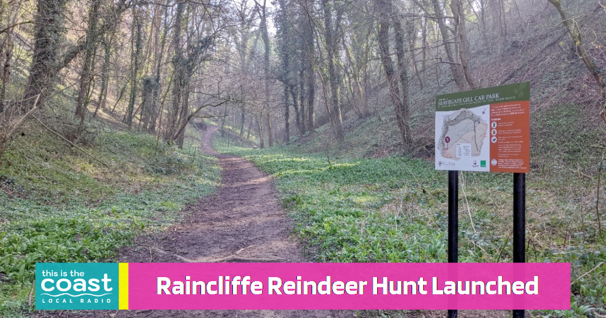 Plan Revealed for Festive Fun at Raincliffe Wood - This is the Coast