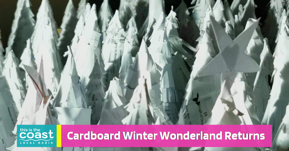 Cardboard Winter Wonderland Returns to Scarborough - This is the Coast