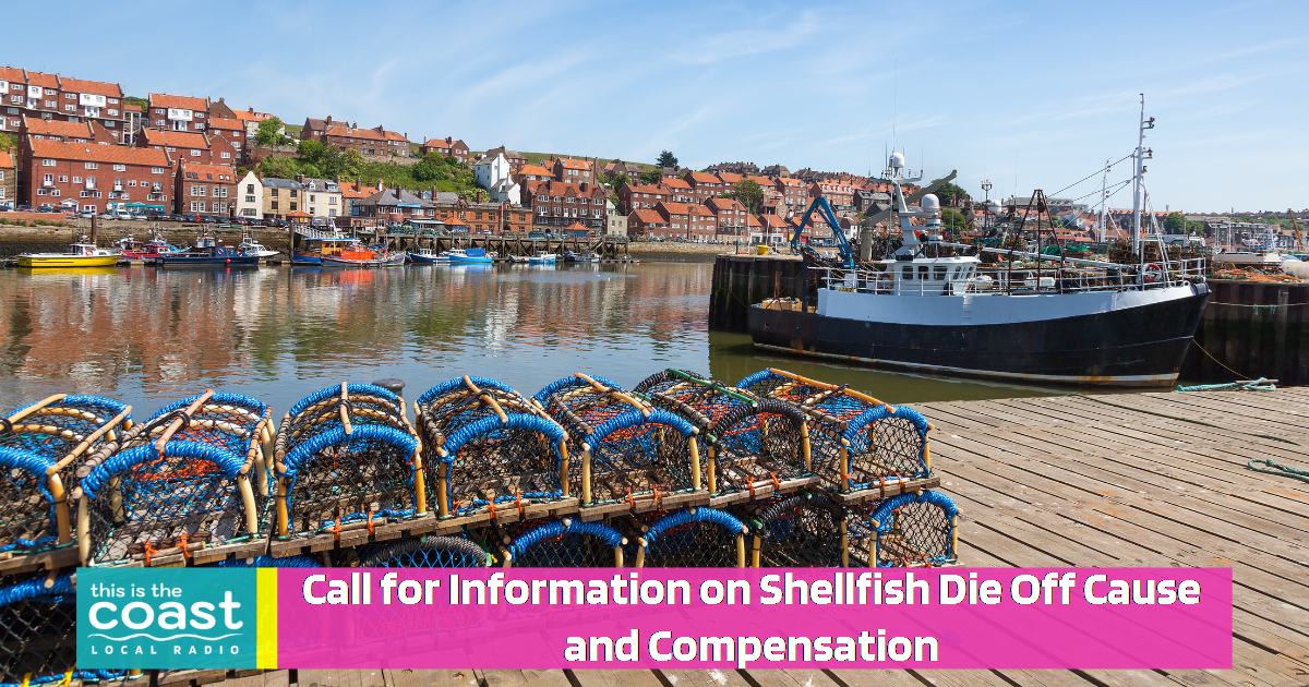 More Information Needed on Yorkshire Coast Shell Fish Die Off Cause ...