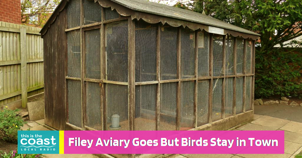 Filey Aviary to Go but Birds to Stay in the Town - This is the Coast