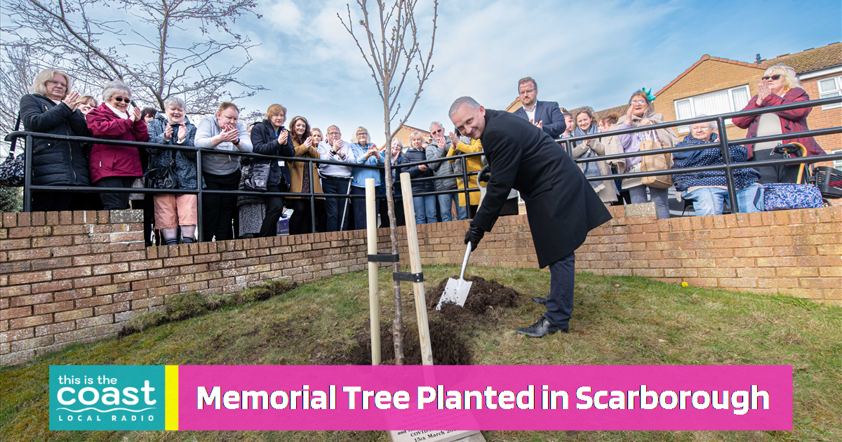 Pandemic Tribute Tree Planted in Scarborough - This is the Coast