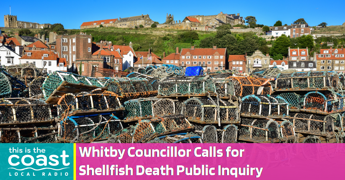 Whitby Councillor Calls for Shellfish Death Public Inquiry - This is ...