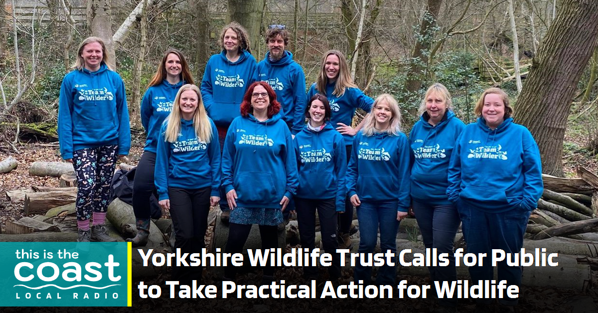 Yorkshire Folk Urged to Take Practical Action for Local Wildlife - This ...