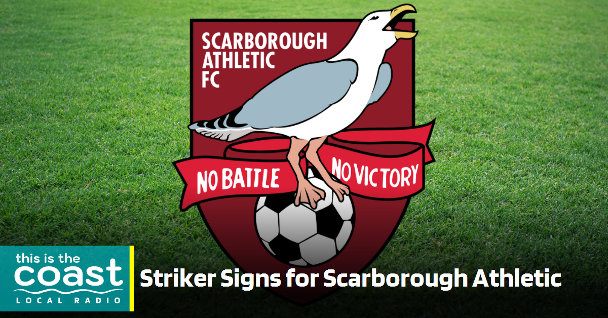 Striker Signs for Scarborough Athletic - This is the Coast