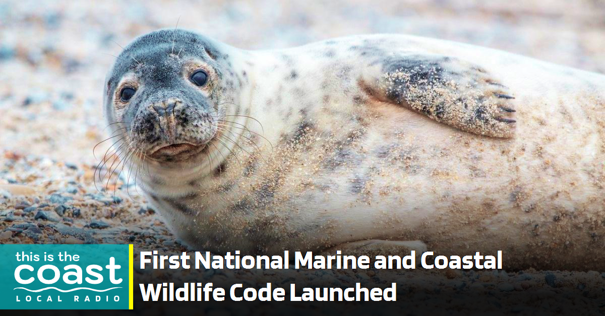 First National Marine and Coastal Wildlife Code Launched - This is the ...