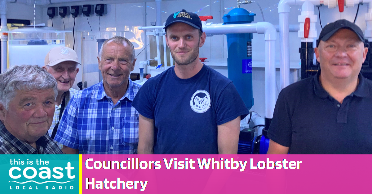 Councillors Visit Whitby Lobster Hatchery - This is the Coast