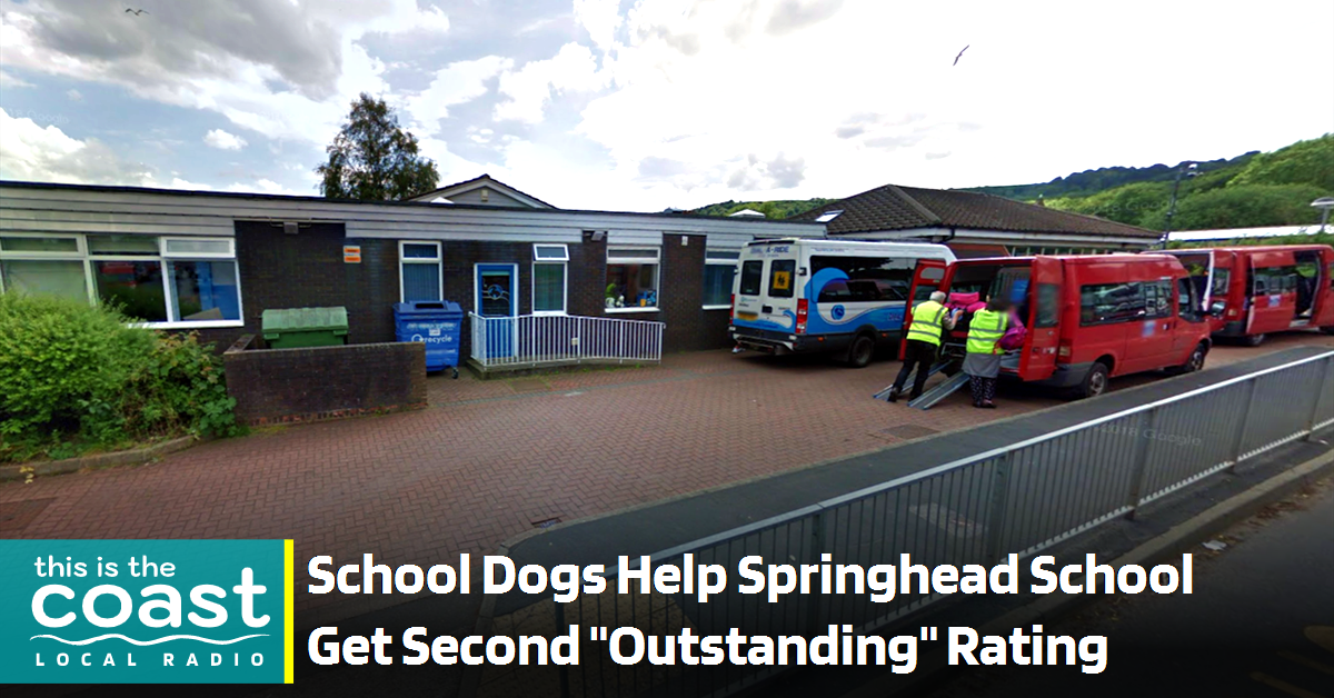 School Dogs Help Springhead School Get Second "Outstanding" Rating ...
