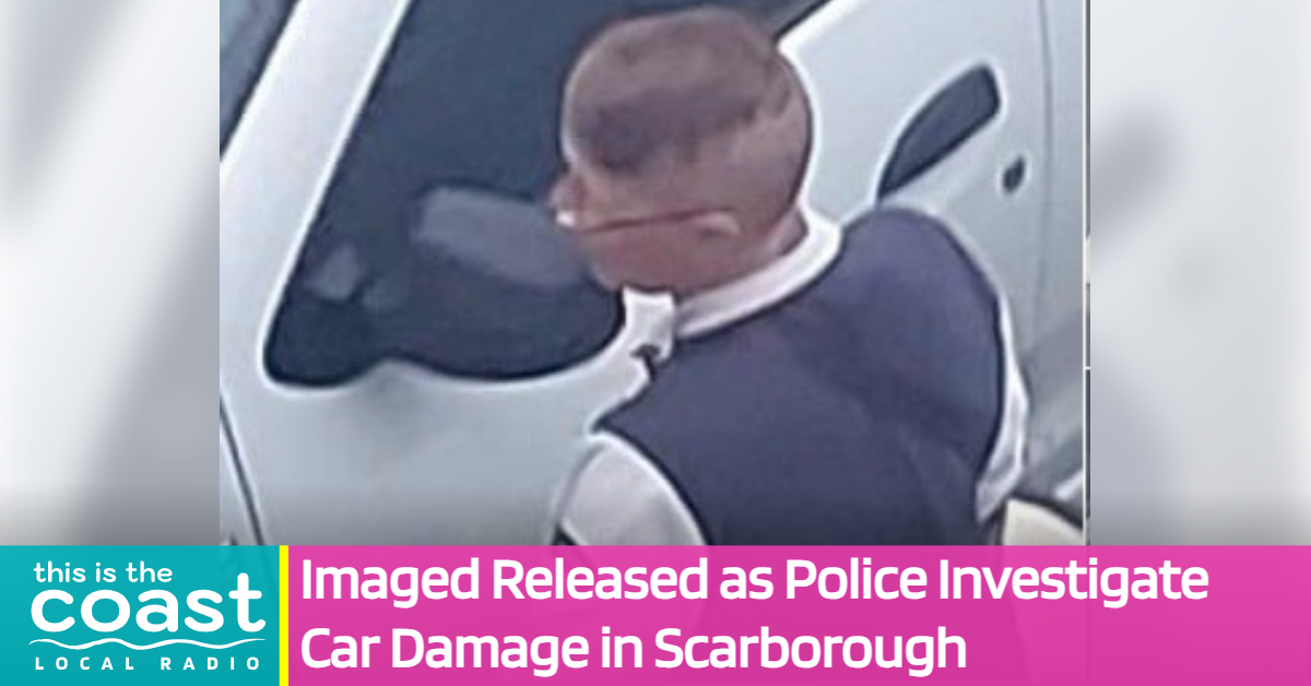 Imaged Released as Police Investigate Car Damage in Scarborough - This ...