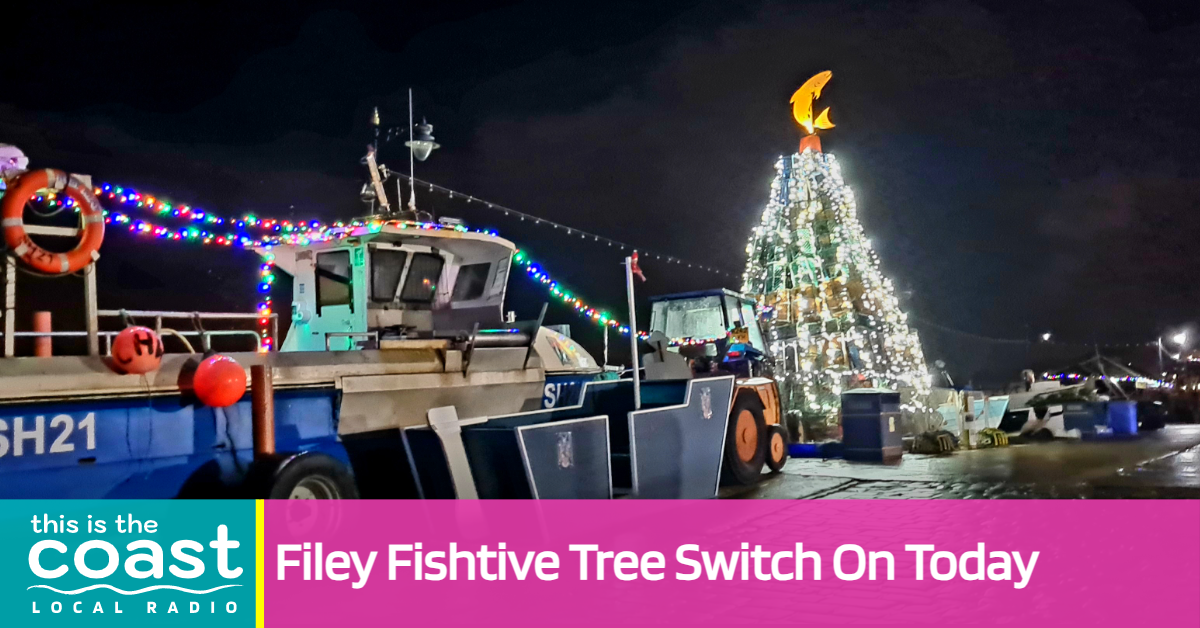 Filey Fishtive Tree Switch On Today - This is the Coast