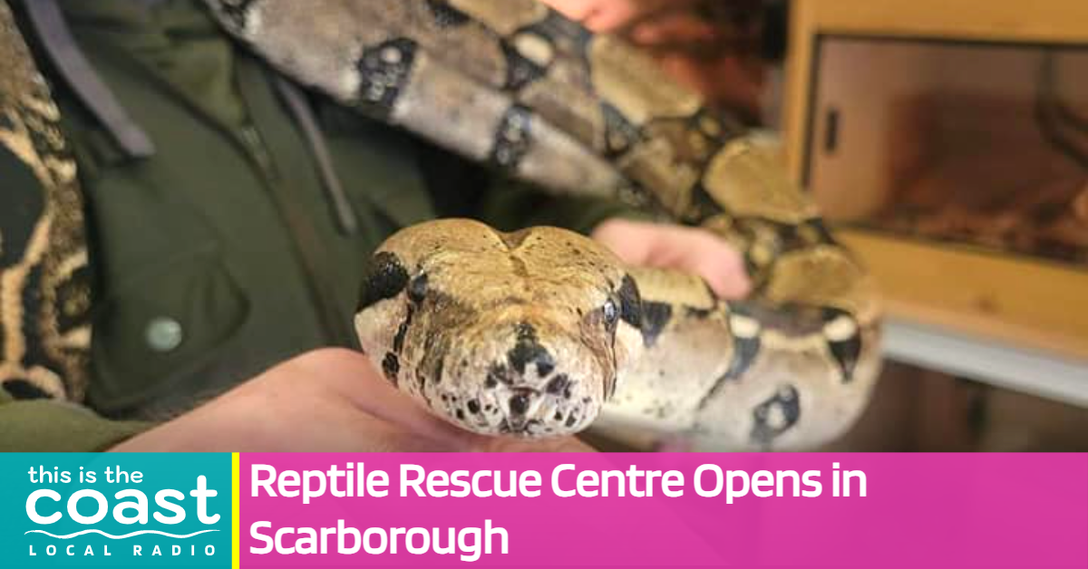 Reptile Rescue Centre Opens in Scarborough - This is the Coast