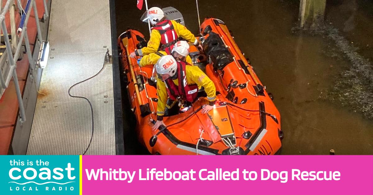 Whitby Lifeboat Called to Dog Rescue - This is the Coast