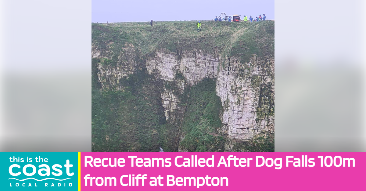 Rescue Teams Called After Dog Falls 100m from Cliff at Bempton - This ...