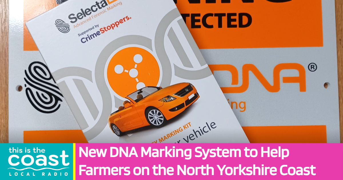 New DNA Marking System to Help Farmers on the North Yorkshire Coast ...