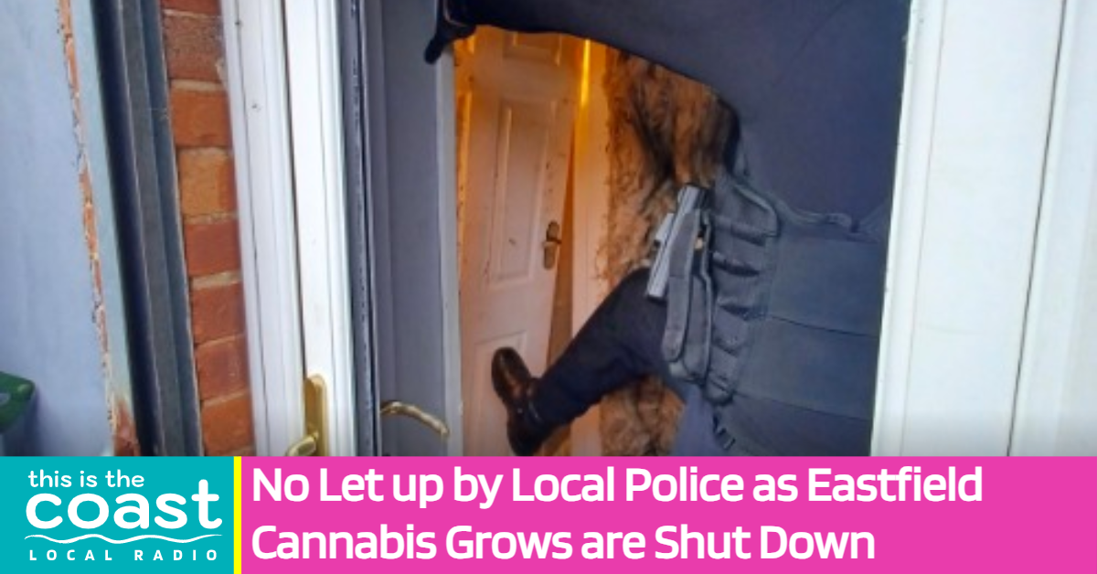 No Let up by Local Police as Eastfield Cannabis Grows are Shut Down ...