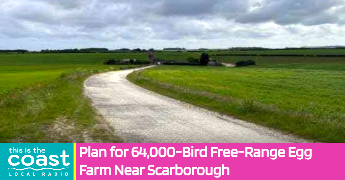 Plan for 64,000-Bird Free-Range Egg Farm Near Scarborough - This is the ...