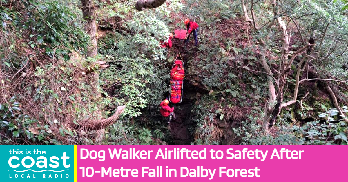 Dog Walker Airlifted to Safety After 10-Metre Fall in Dalby Forest ...