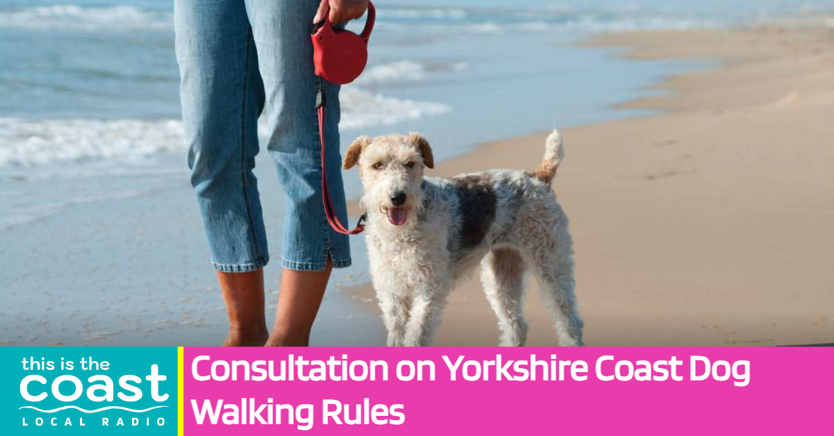 Consultation on Yorkshire Coast Dog Walking Rules - This is the Coast