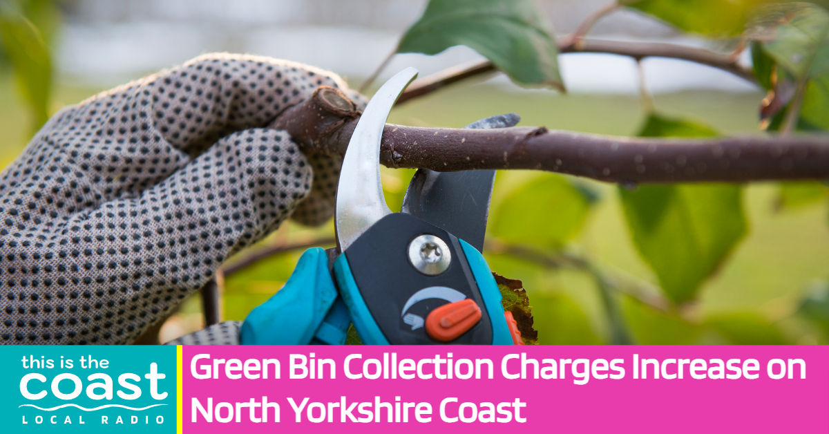 Green Bin Collection Charges Increase on North Yorkshire Coast - This ...