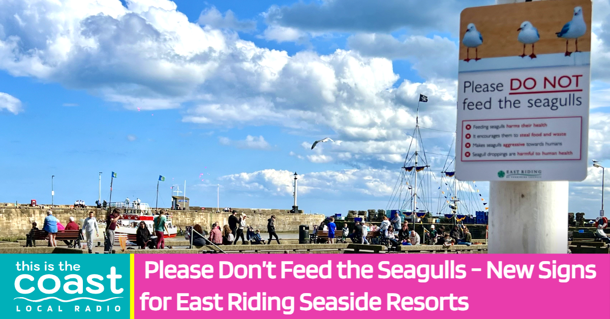 Please Don’t Feed the Seagulls - New Signs for East Riding Seaside ...