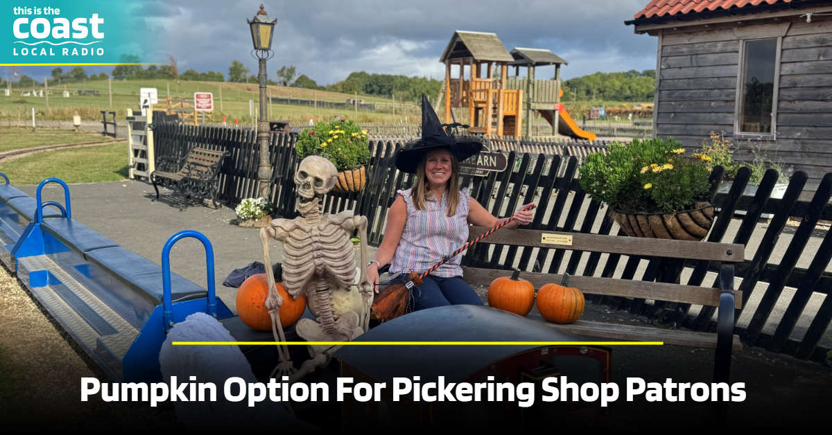 Pickering Shop Adds Pumpkin Picking - This is the Coast