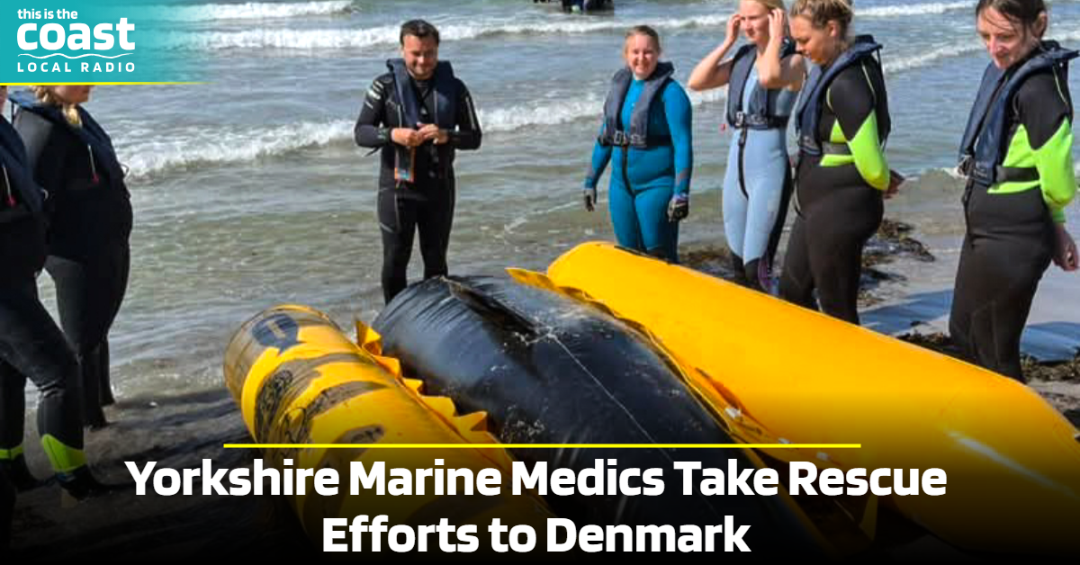 Yorkshire Marine Medics Take Rescue Efforts to Denmark - This is the Coast