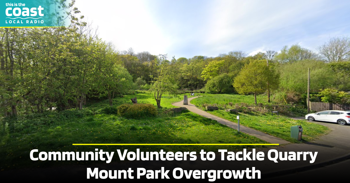 Community Volunteers to Tackle Quarry Mount Park Overgrowth - This is ...