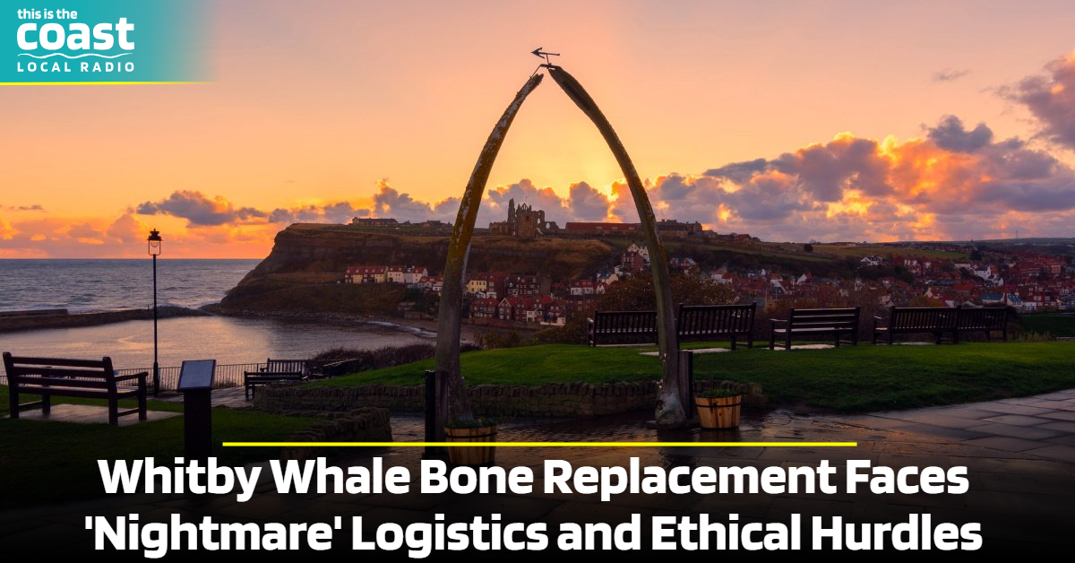 Whitby Whale Bone Replacement Faces 'Nightmare' Logistics and Ethical ...