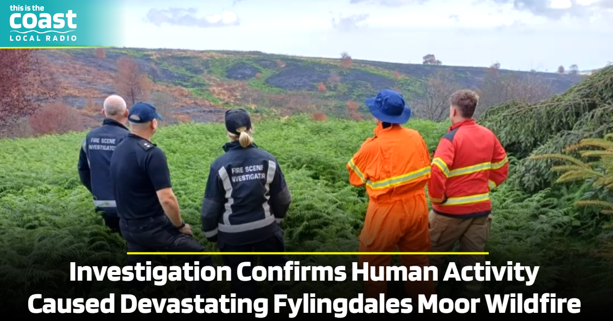 Investigation Confirms Human Activity Caused Devastating Fylingdales ...
