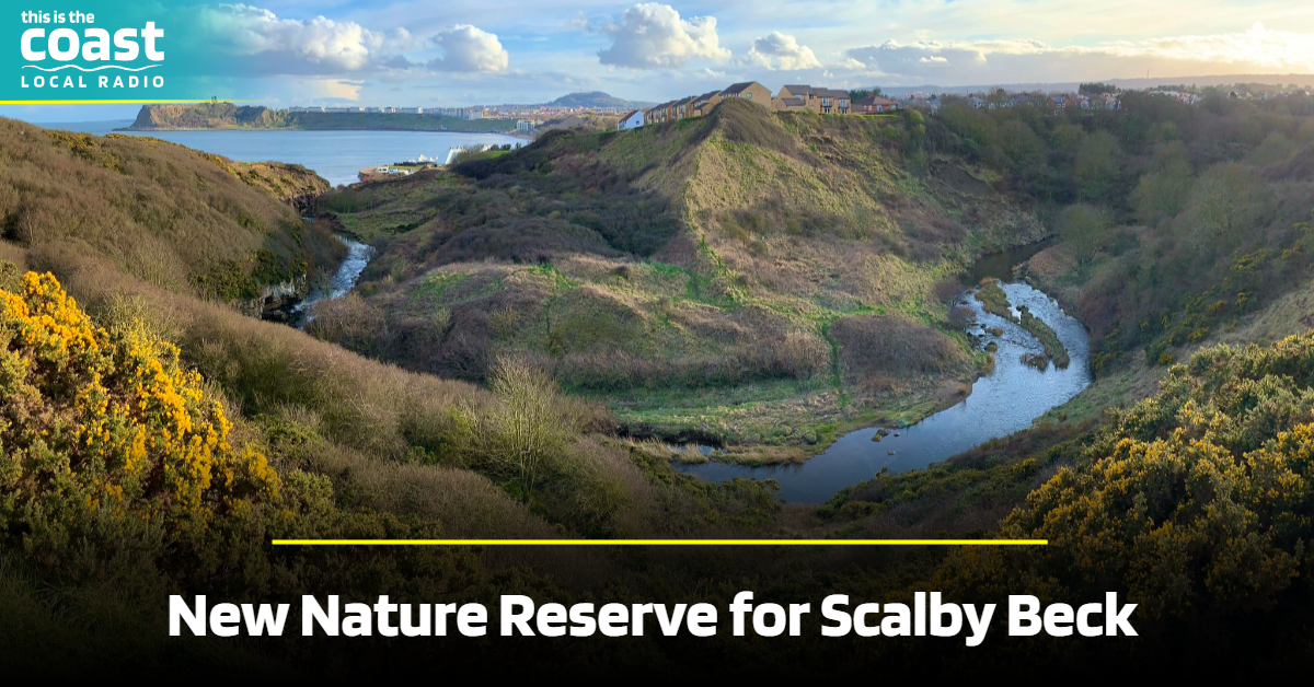 New Nature Reserve for Scalby Beck - This is the Coast