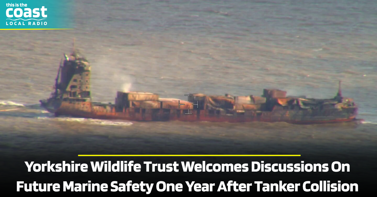 Yorkshire Wildlife Trust Welcomes Discussions On Future Marine Safety ...