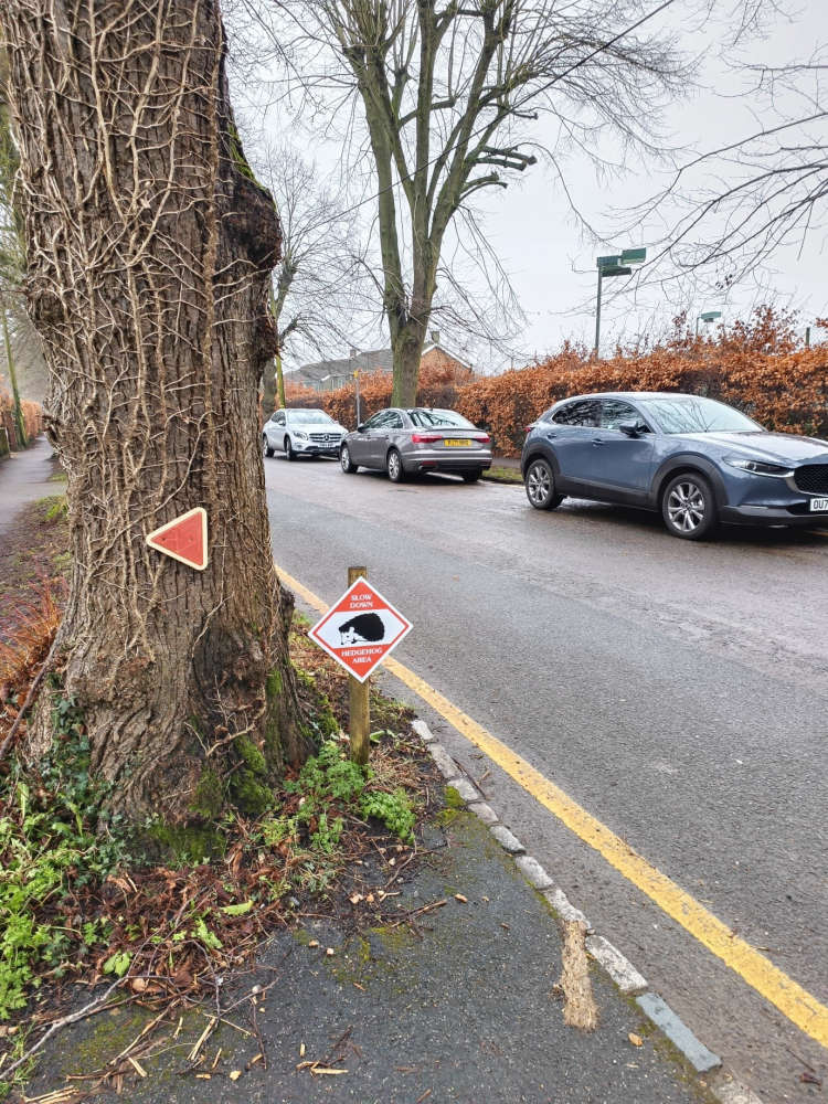 ‘Our safety is at risk’: Wendover residents blast HS2 over lorries ...