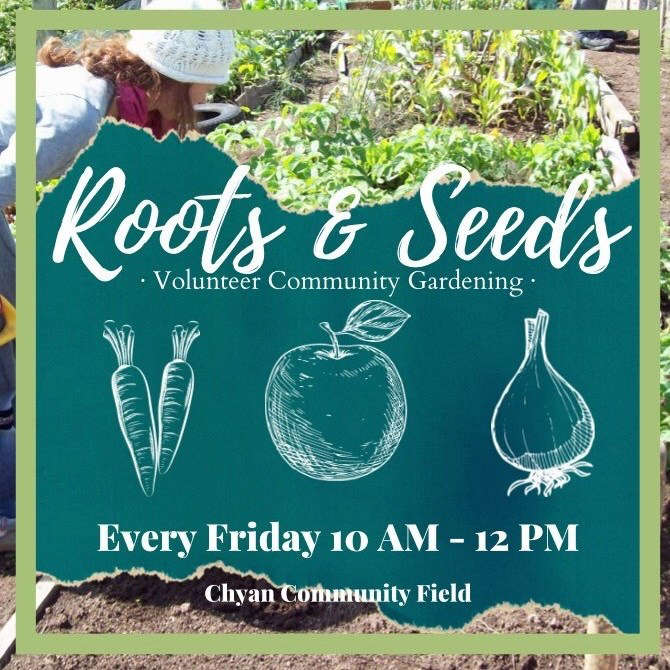 Roots and Seeds - Cornwall's Rewind Radio