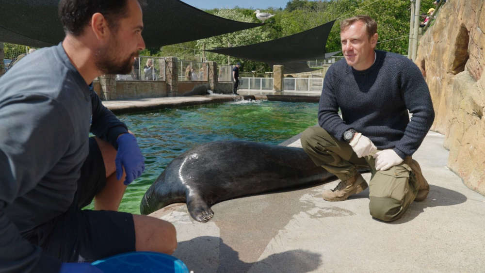 TV presenter becomes new ambassador for the charity that runs the Seal ...