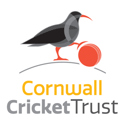 Summer Cricket programme for children hits over 1000 registrations in ...